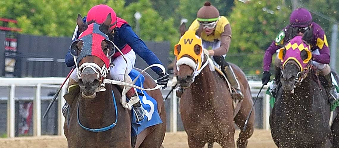 Stakes Winners Abound Among Star de Naskra Nominations - Maryland ...