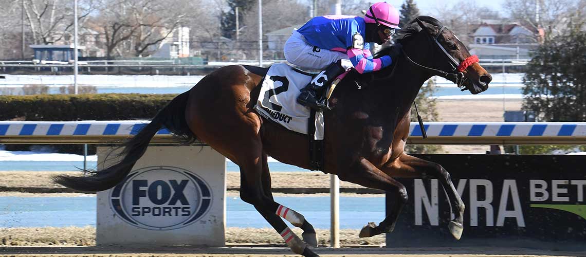 Diamond Collector Looking to Shine in $100,000 Beyond the Wire ...