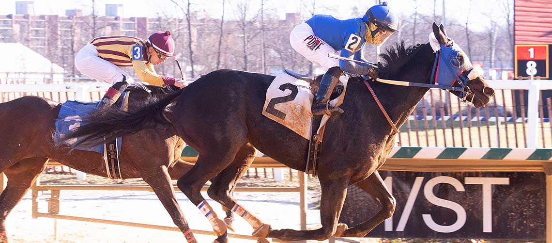 Preakness (G1), Turf Stakes Among Options for Shake Em Loose - Maryland ...