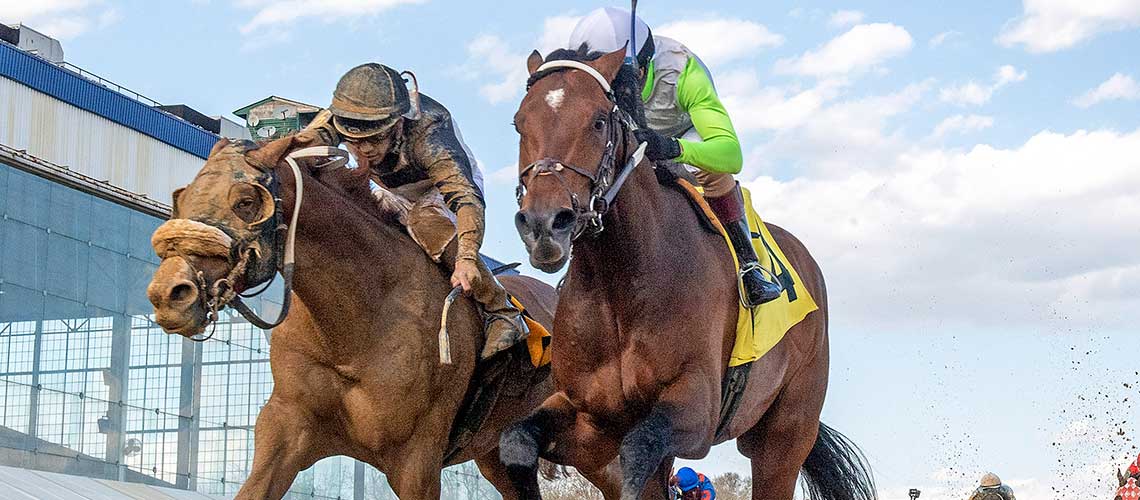 Federico Tesio Winner Joe Pointing to Third Saturday in May - Maryland ...