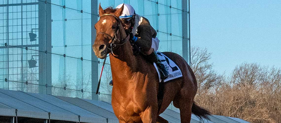 Allowance Race Up Next for G3 Winner Cordmaker - Maryland Jockey Club