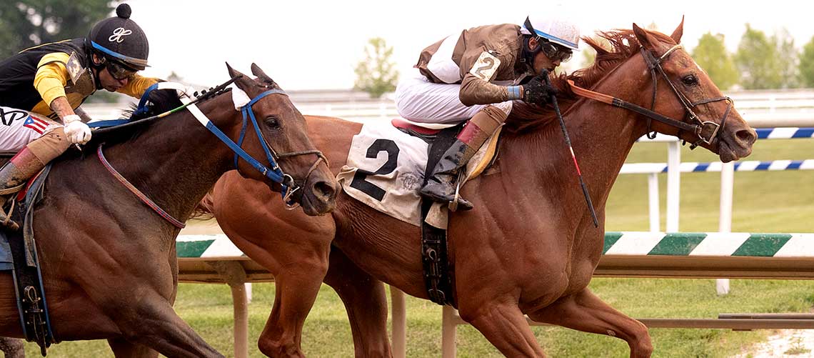 Live Friday Through Monday Race Schedule Starts Nov. 4 - Maryland ...