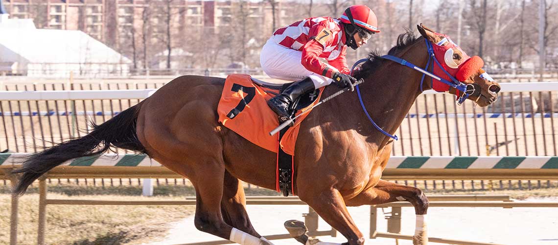 John the Bear Making Stakes Debut in General George (G3) - Maryland ...