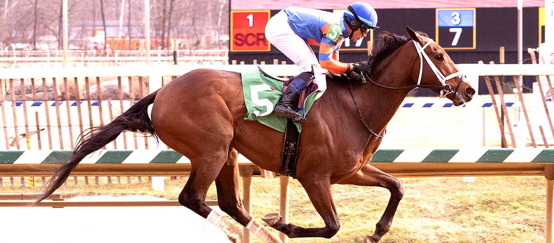 Circling the Drain Trying Turf in $100,000 James Murphy - Maryland ...
