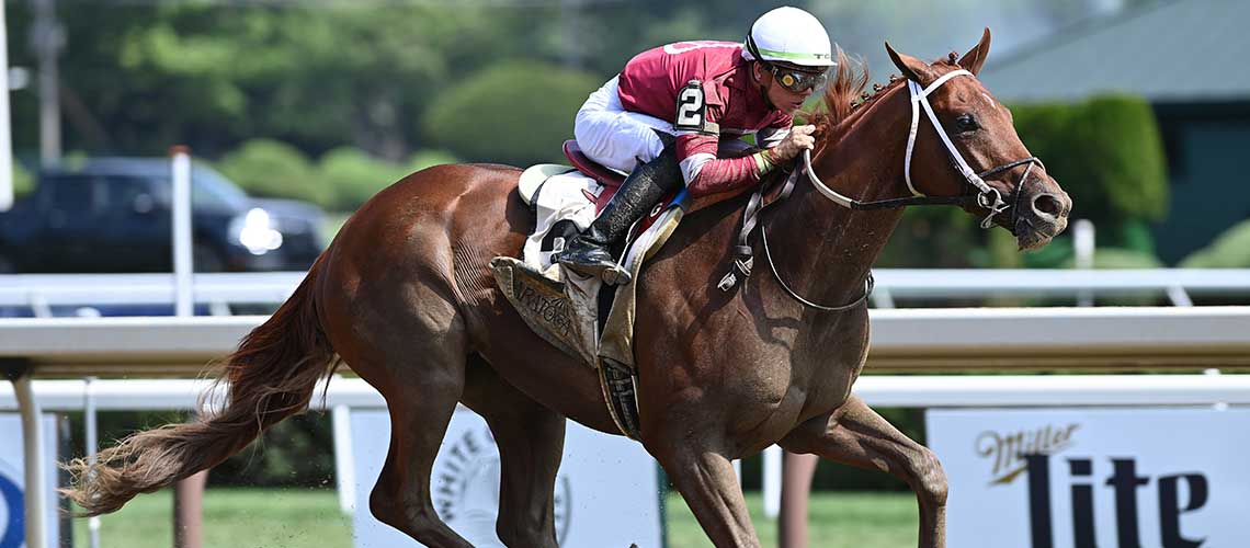 Disarm, Red Route One ‘Gunning’ for May 20 Preakness - Maryland Jockey Club