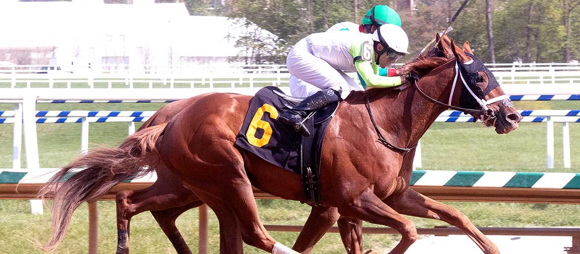 Laurel Fall Meet Resumes with Eight-Race Program Thursday - Maryland ...