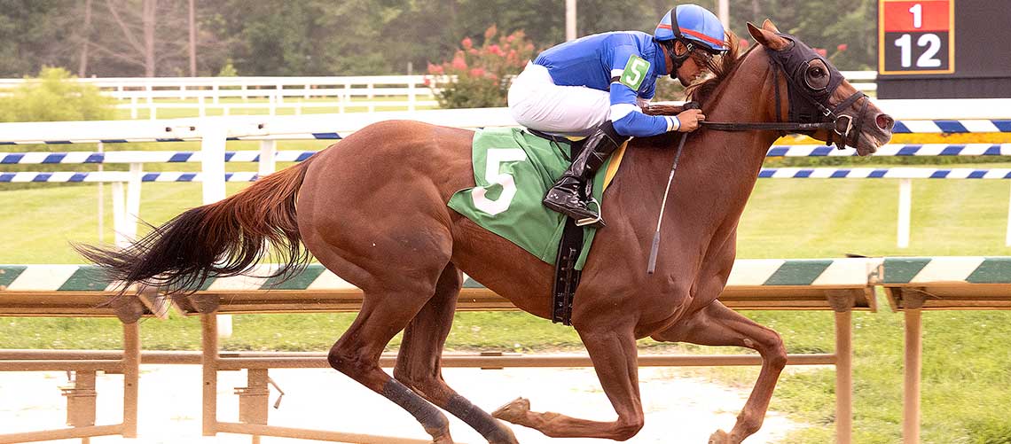 Turf Racing Returns Friday - Maryland Jockey Club