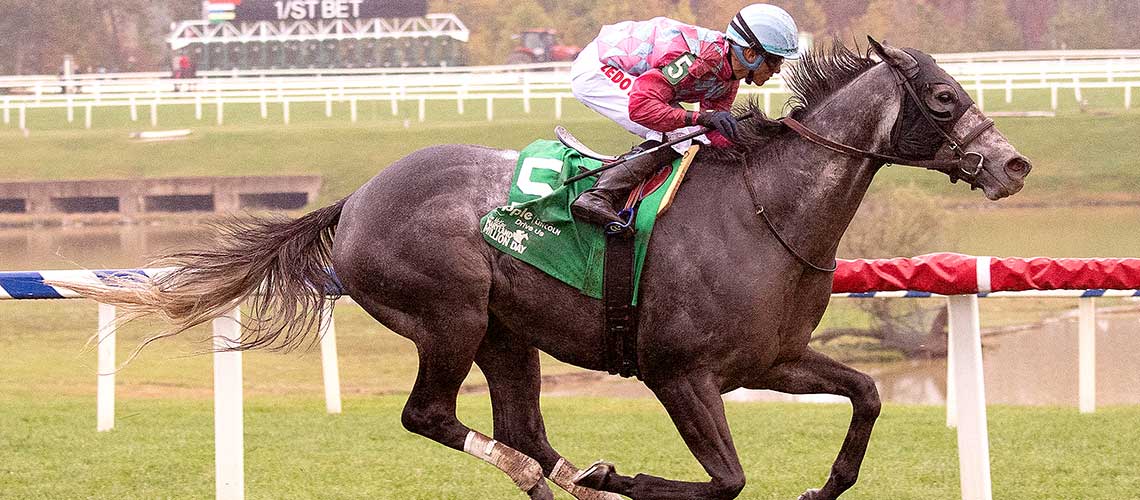 Witty Looking to Make History in $100,000 Turf Sprint - Maryland Jockey ...
