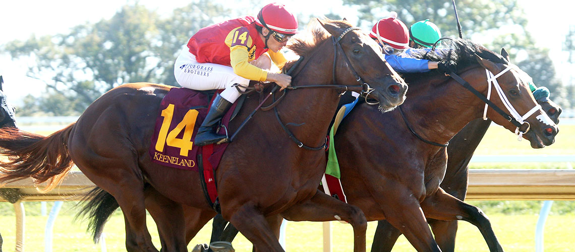 G3 Winner Brunacini Among City of Laurel Nominations - Maryland Jockey Club
