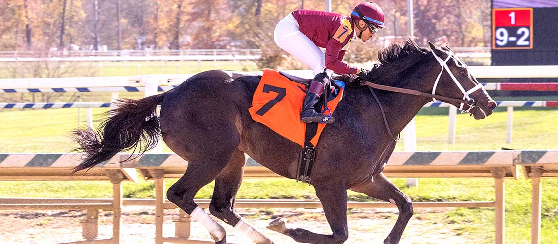 Debut Winner One Man Team Taking Step Up in $100,000 Heft - Maryland ...