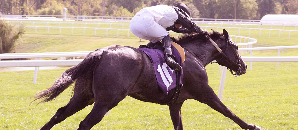 Maryland Jockey Club | Laurel Park Thoroughbred Horse Racing