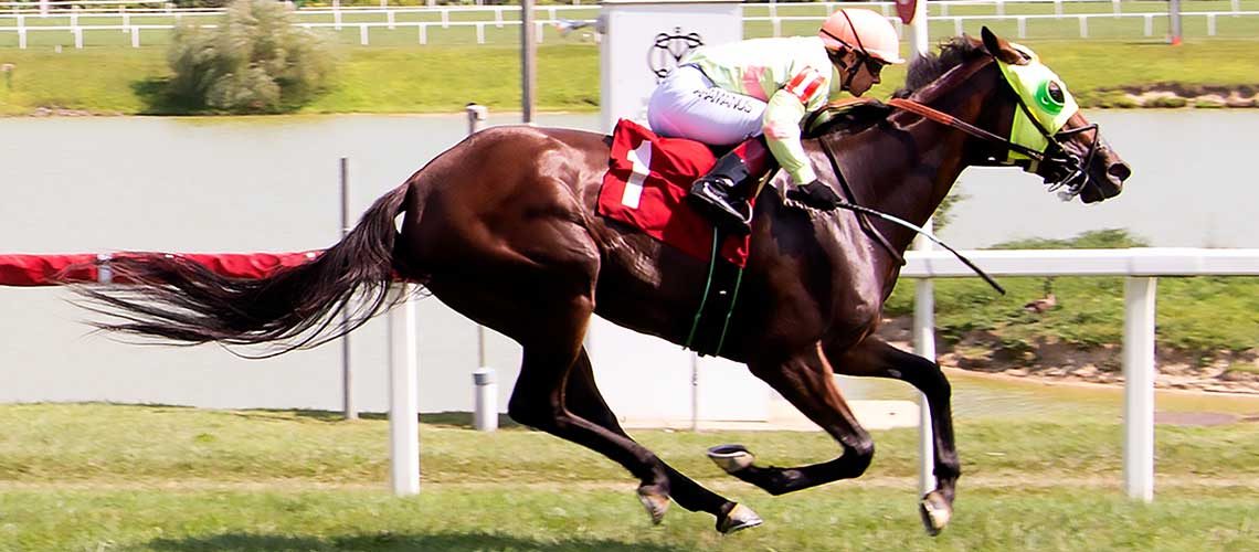 Cavalier Cupid Finds Stakes-Winning Form in Friday Feature - Maryland ...